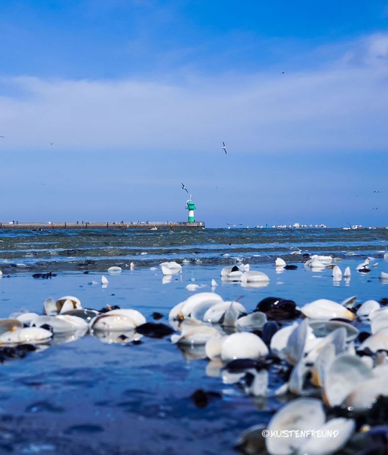 Priwall Strand Travemünde // Top Ausflugstipp - KÜSTENFREUND