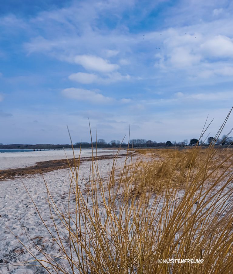 Priwall Strand Travemünde // Top Ausflugstipp - KÜSTENFREUND