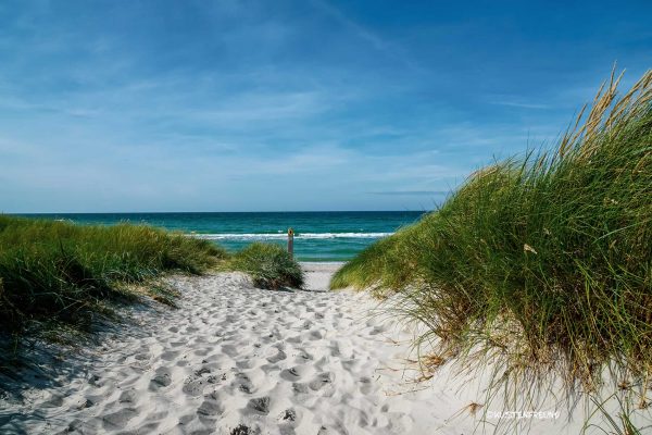 Darßer Weststrand: 14 km Strandwandern im Nationalpark